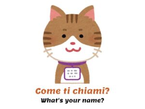 What's your name? - Italian Sentences