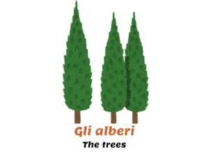 Apostrophe - Italian Grammar