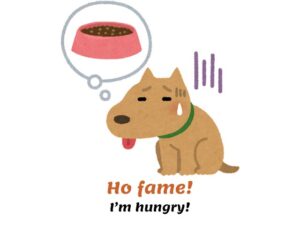 I am hungry! - Italian Sentences