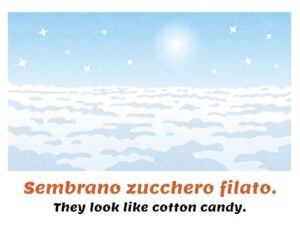 Zucchero - Italian Word of the Day