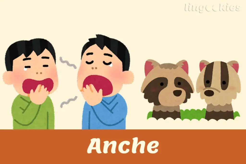 Anche - Italian Word of the Day