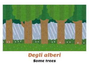 Partitive articles - Italian Grammar