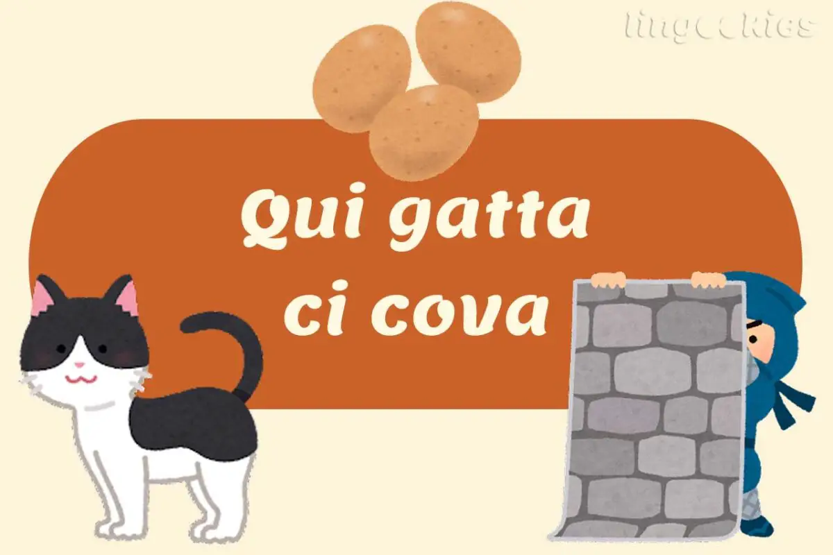 Qui gatta ci cova - Italian Expressions
