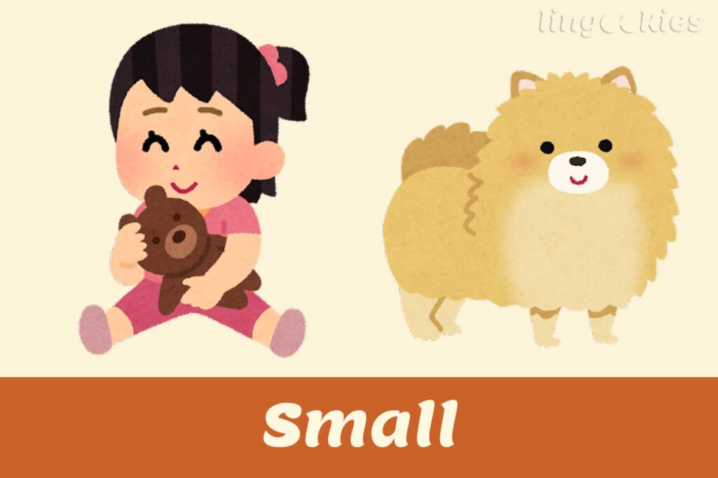 SMALL in Italian - Pronunciation, origin, examples