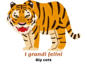 Gran and grande in Italian: What's the difference?
