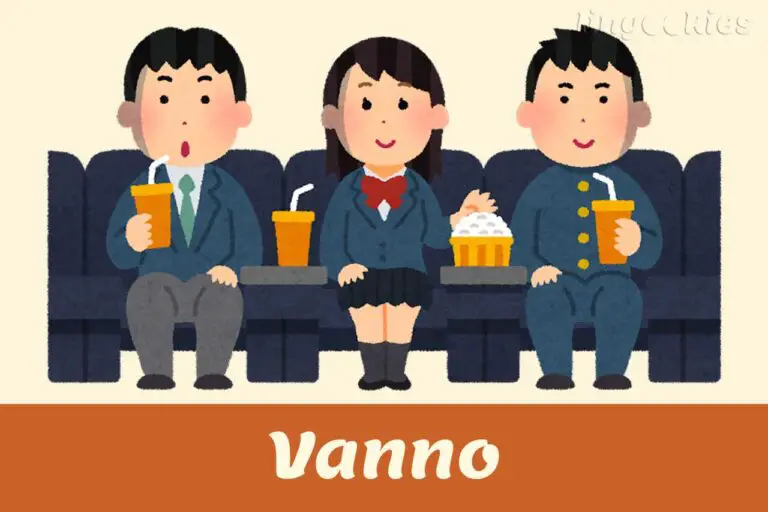 VANNO in Italian - Meaning of the Word