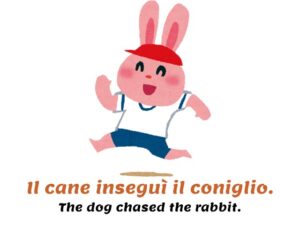RABBIT in Italian - Pronunciation, origins, examples